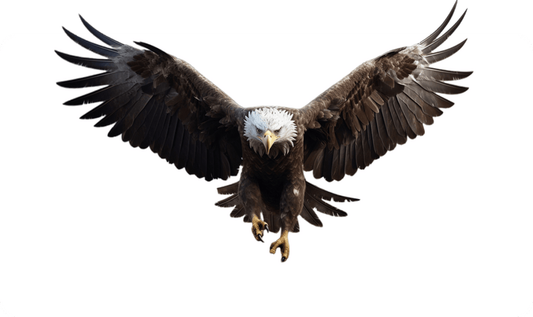 UNITY WINGS